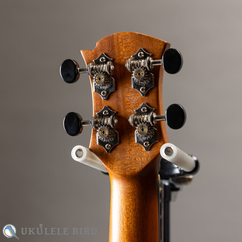 Arimitsu Guitar Craft Concert Halcyon UB5 – Ukulele Bird （株式会社ラストギター）